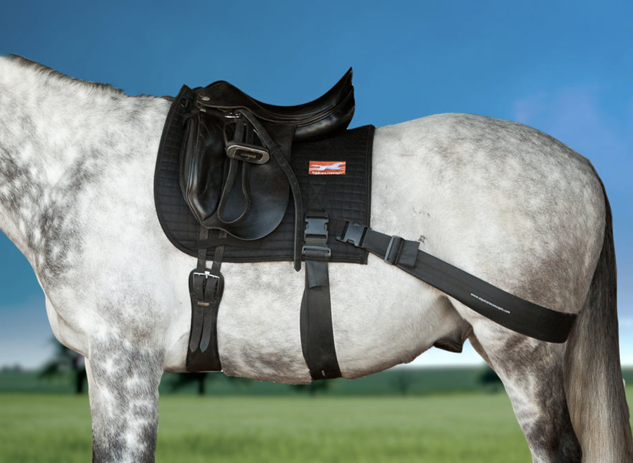 Trainingssystem zum Muskelaufbau von Equicore Systems – Helle Kleven Shop